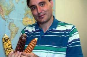 Investigadores de IPN crean Vitamaíz, semilla azul híbrida, no ...