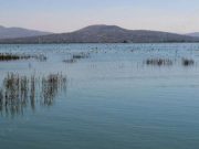 El lago de Texcoco es más importante que el NAICM: Experto