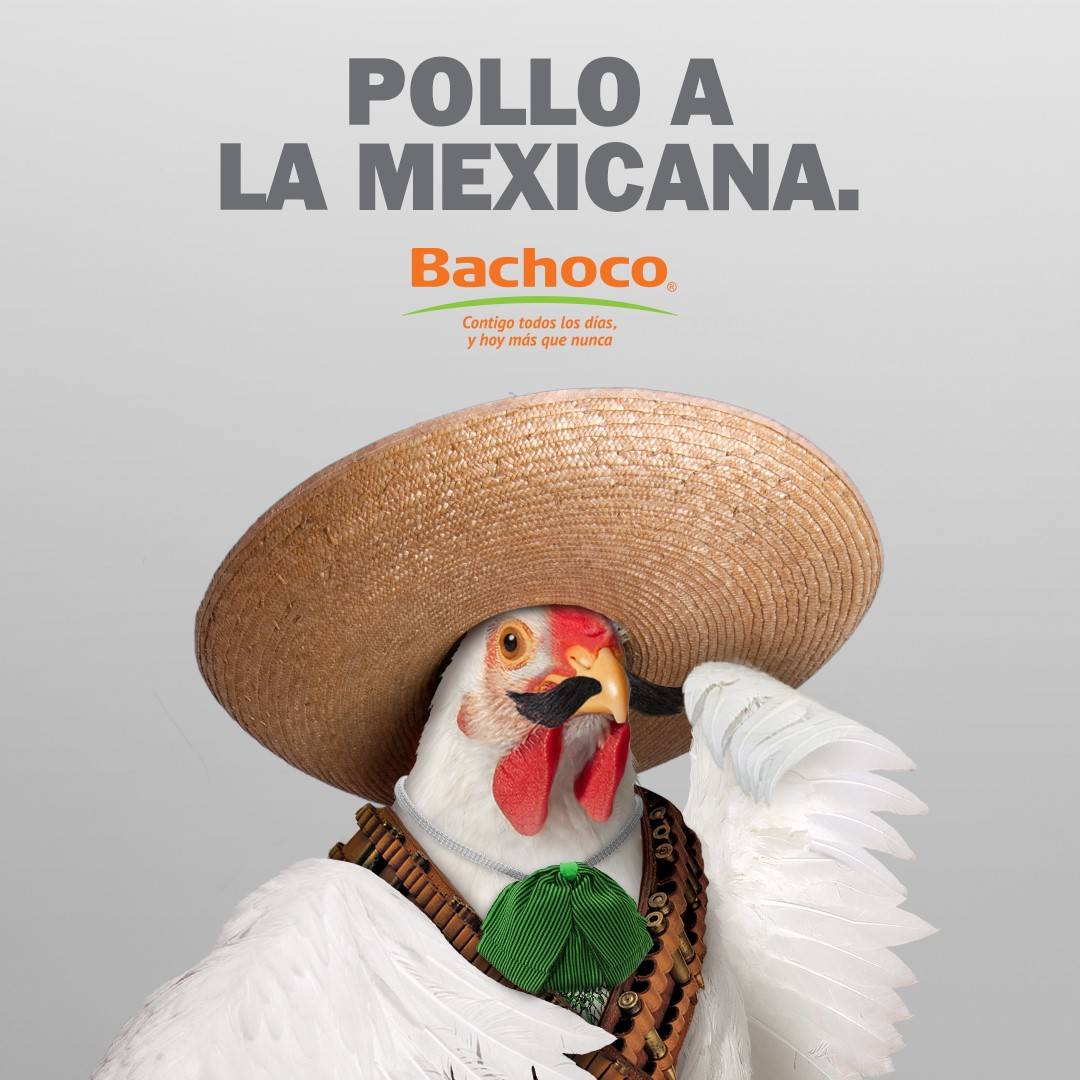 Bachoco parodia las caídas en ciclovía en Puebla y se vuelve tendencia ...