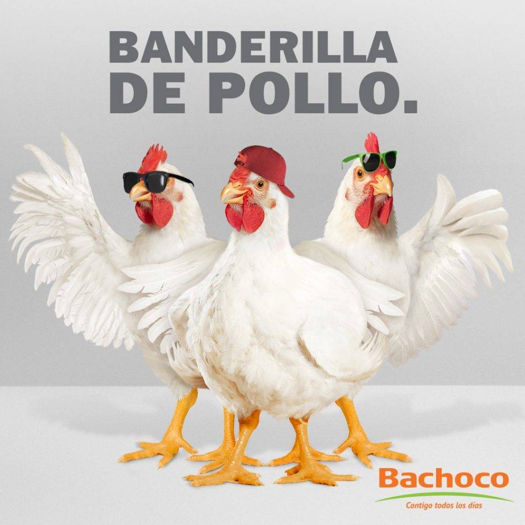 Bachoco parodia las caídas en ciclovía en Puebla y se vuelve tendencia ...