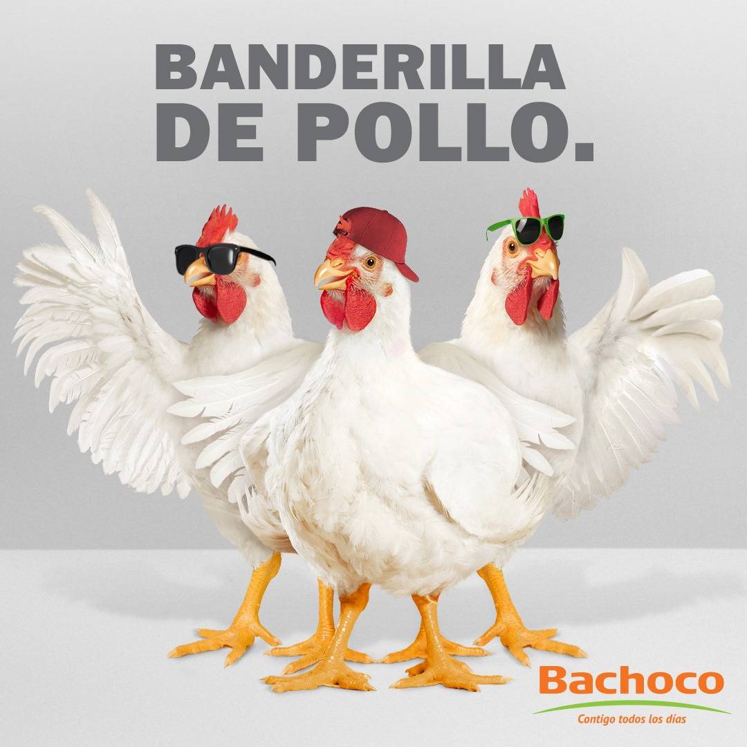 Bachoco parodia las caídas en ciclovía en Puebla y se vuelve tendencia ...