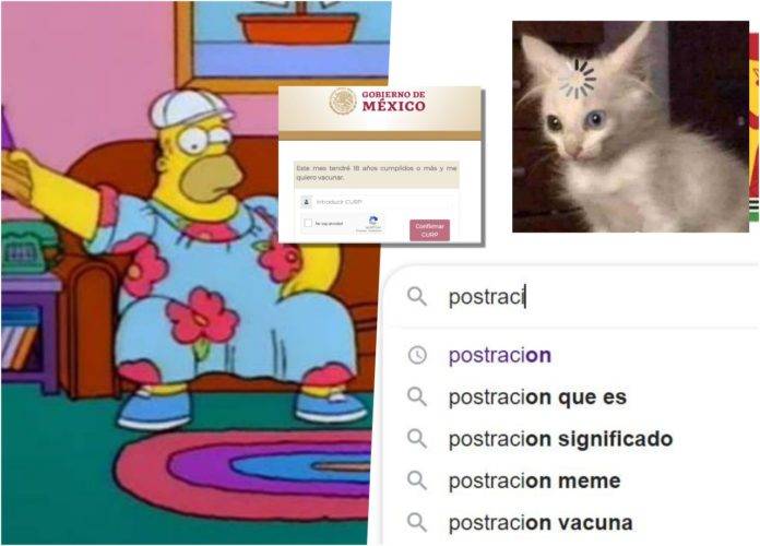 Postración: ¿Qué es y por qué se viralizó en redes sociales ...