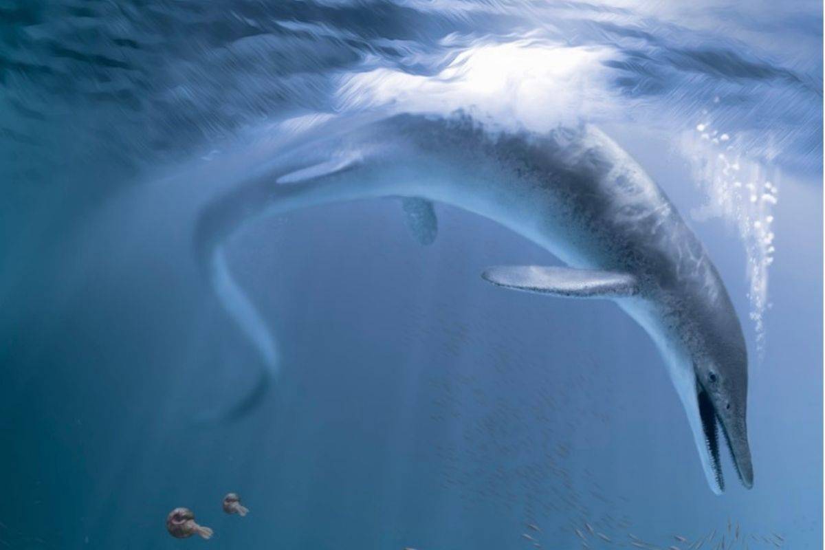 Descubren al ictiosaurio, la criatura mas antigua y gigante de la ...