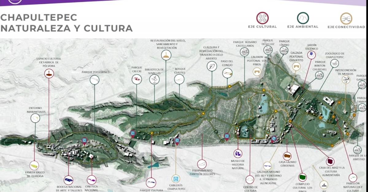 Rescatan el pulmón de la CDMX con Proyecto Chapultepec