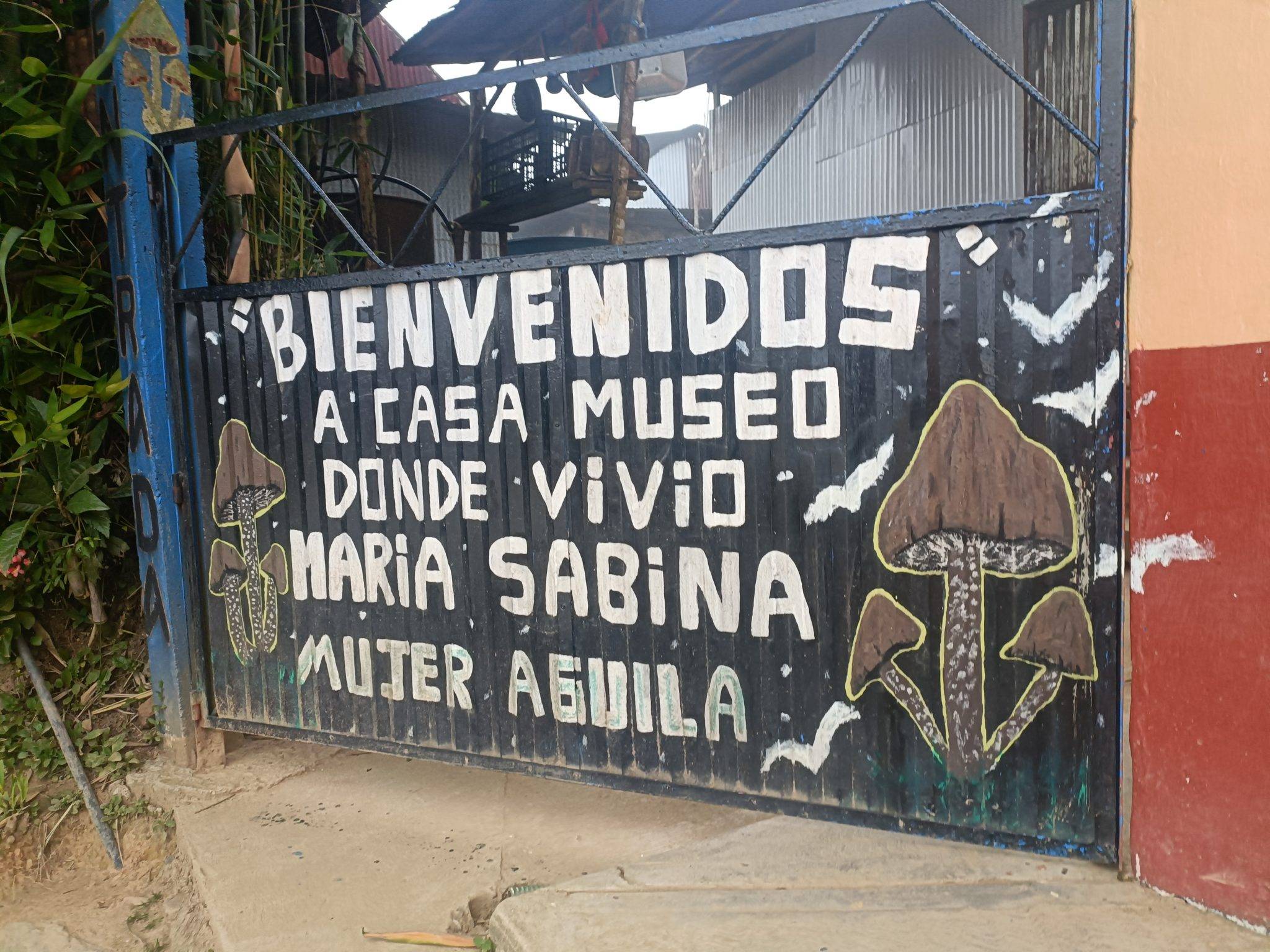 María Sabina: Entre los hongos y el olvido - RegeneraciónMx